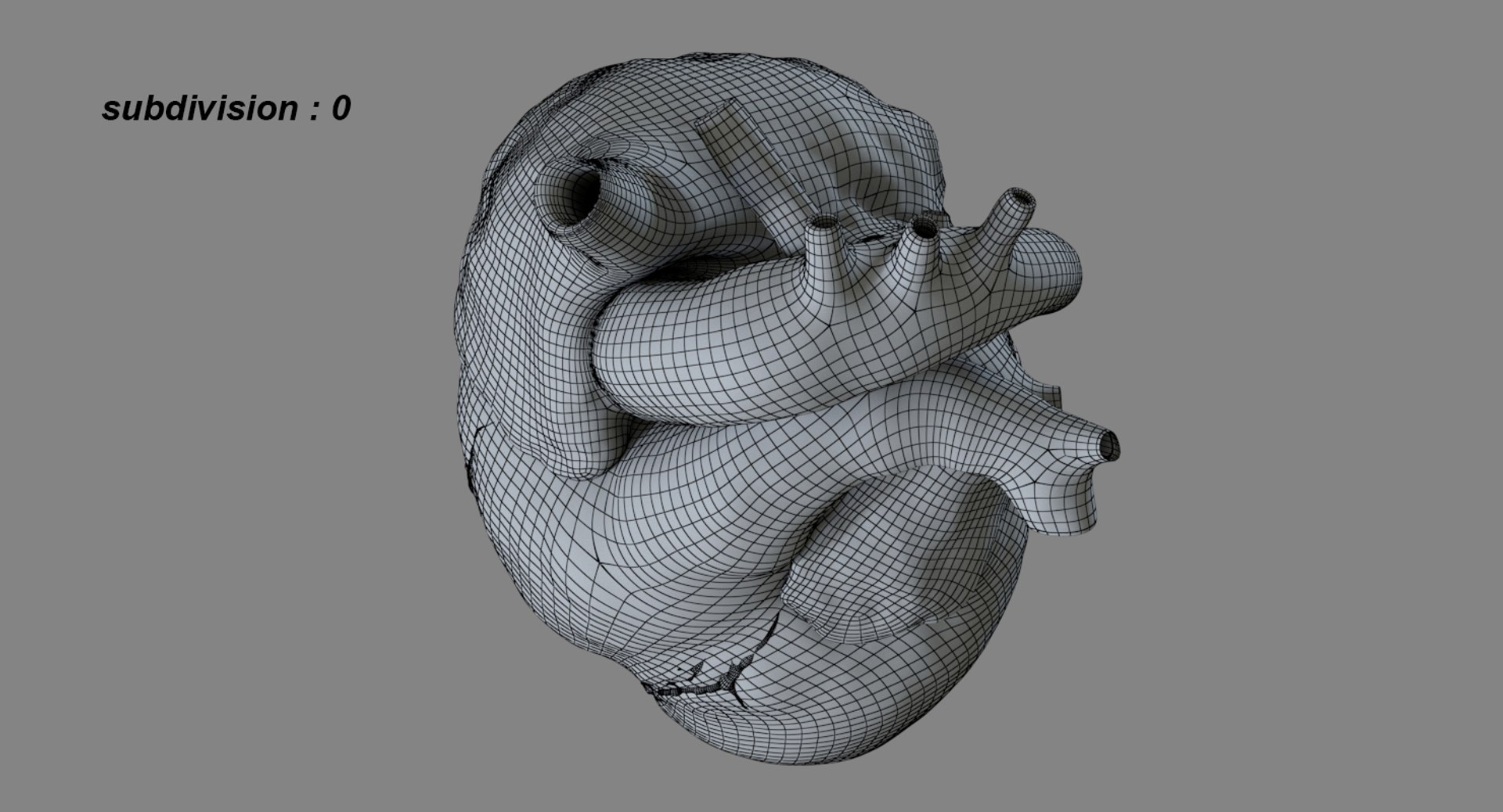 3D Human Heart Anatomy Model - TurboSquid 1283134