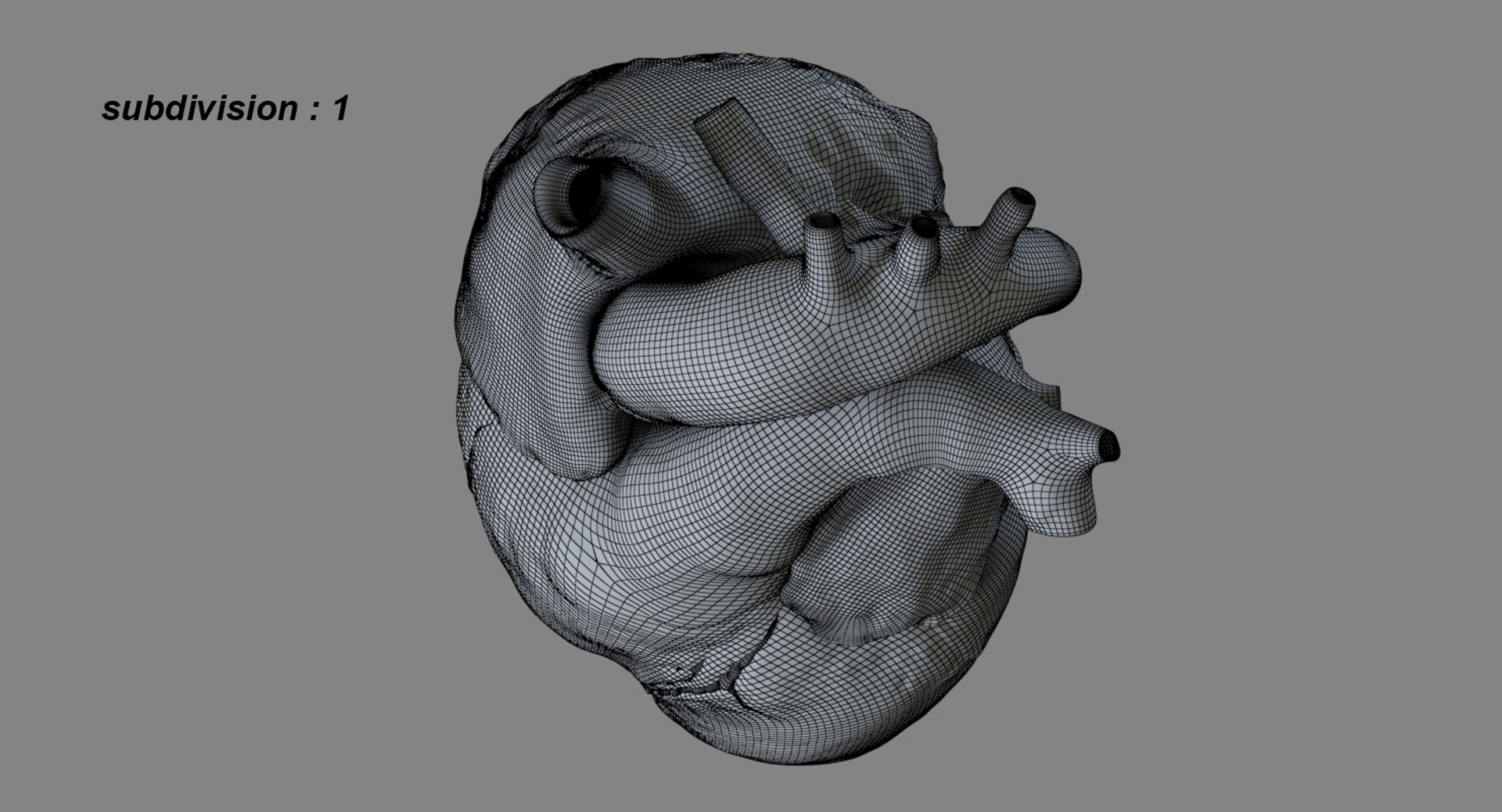 3D Human Heart Anatomy Model - TurboSquid 1283134