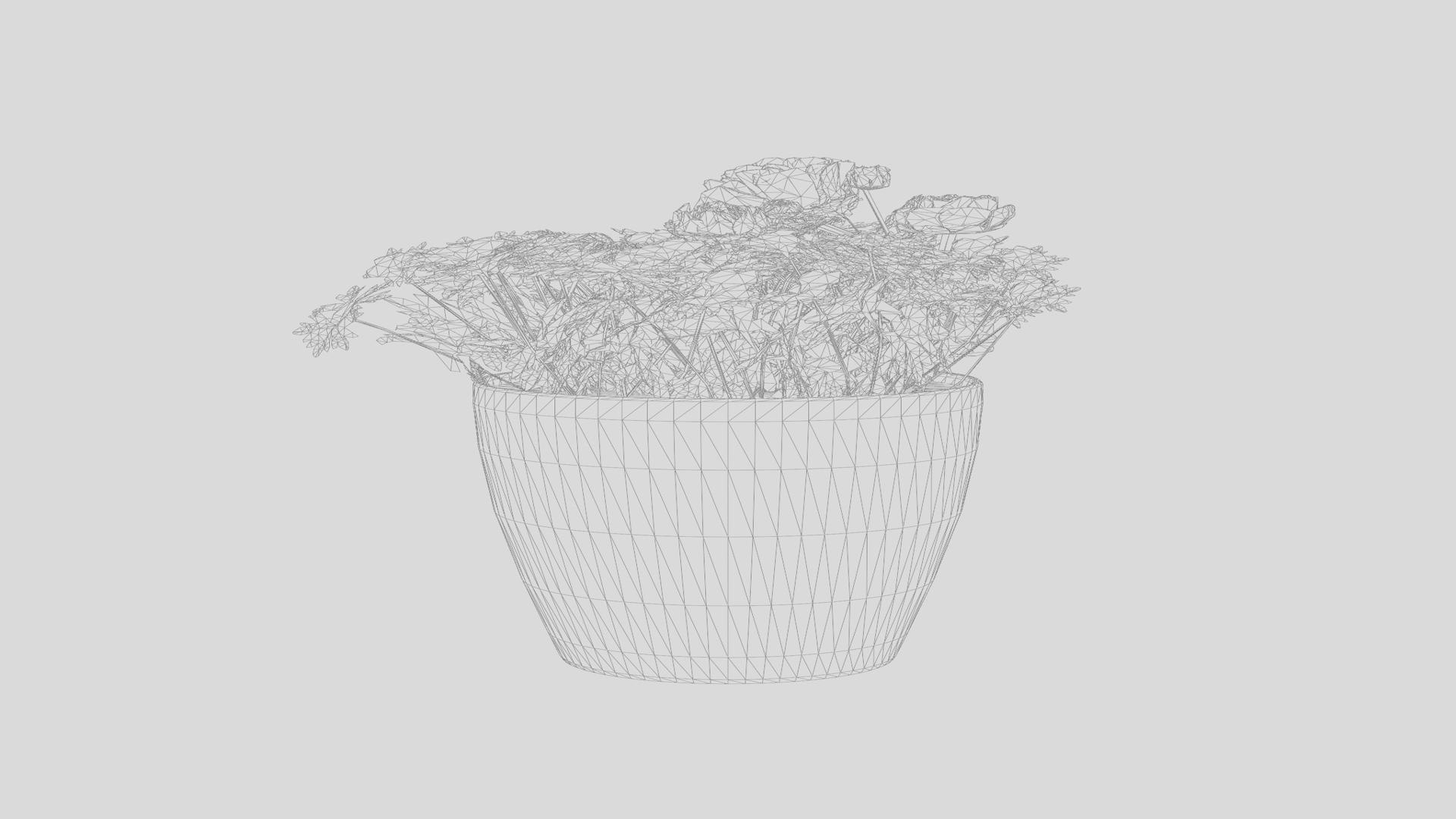 3D Model Buttercup Or Ranunculus Mache Vanilla Rose 3D Model ...