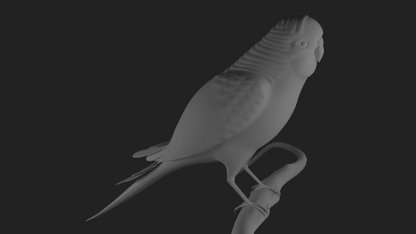 modelo 3d parrot - TurboSquid 2073244