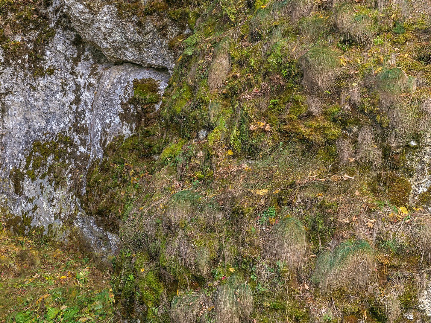 maya climbing rock 16k