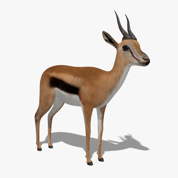 Gazelle animation 3D model - TurboSquid 1309586