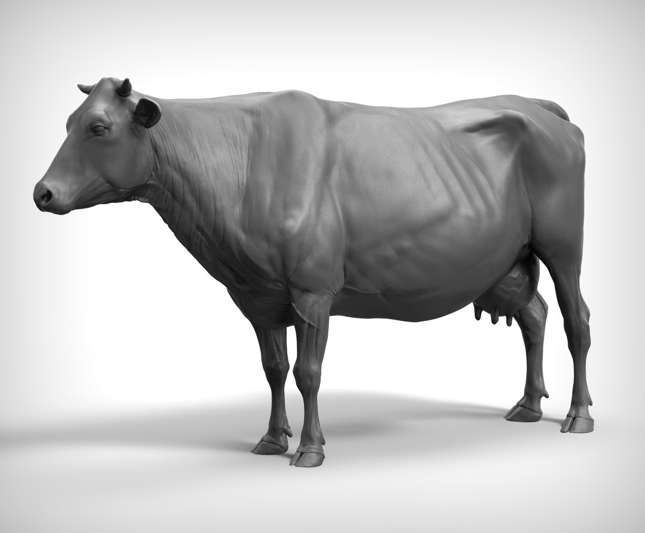 3d Cow Turbosquid 1166008