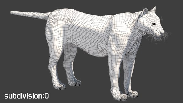 modelo 3d Anatomía del tigre - TurboSquid 1473688