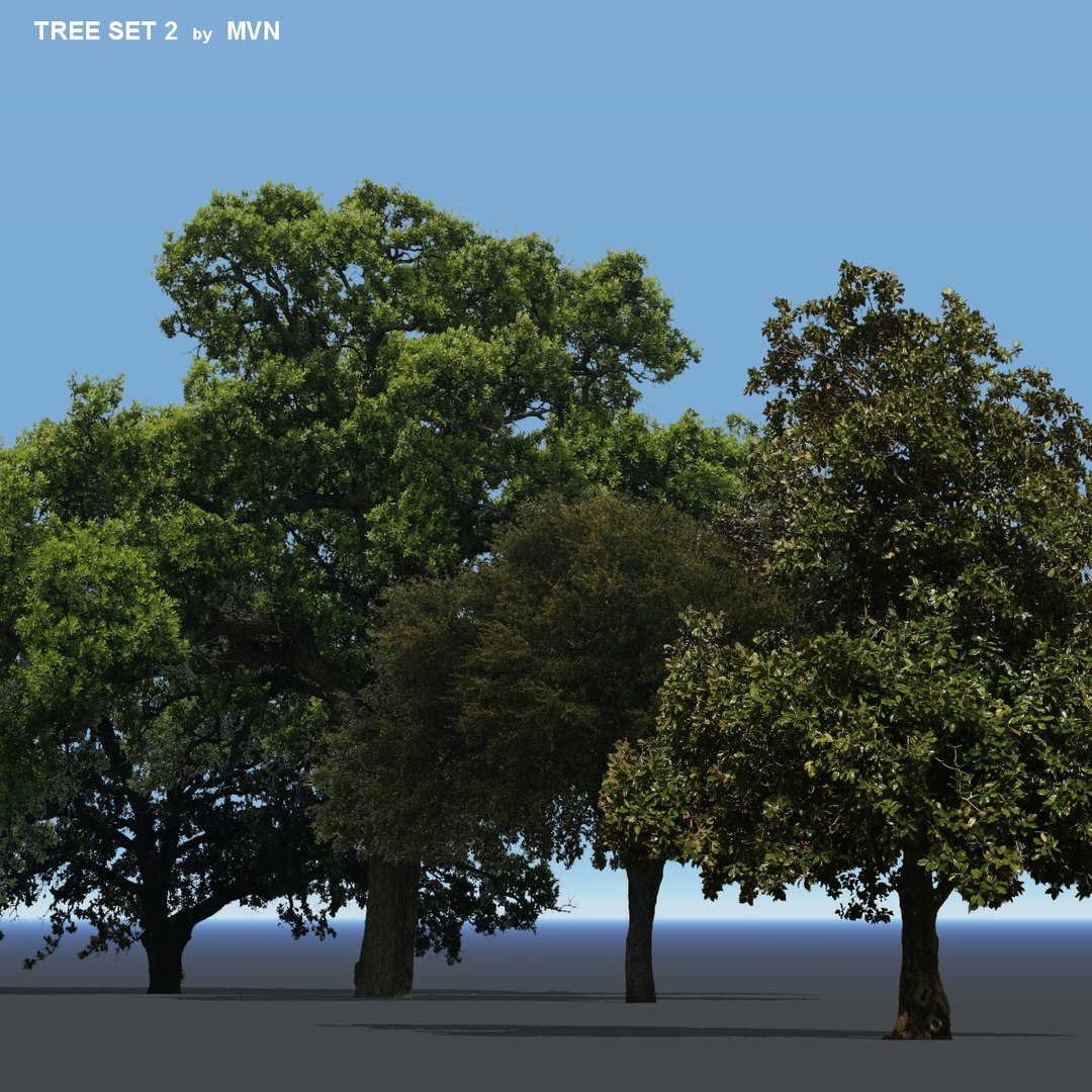 Set Trees 3d Model