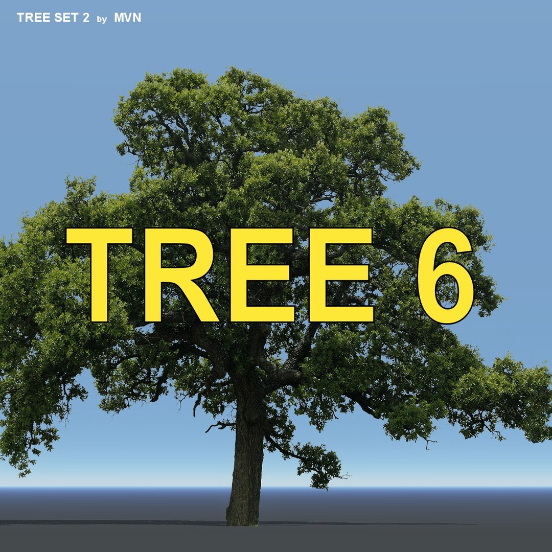 Set Trees 3d Model