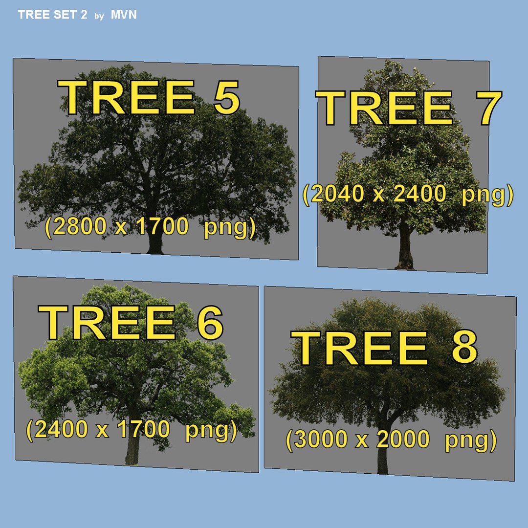 Set Trees 3d Model