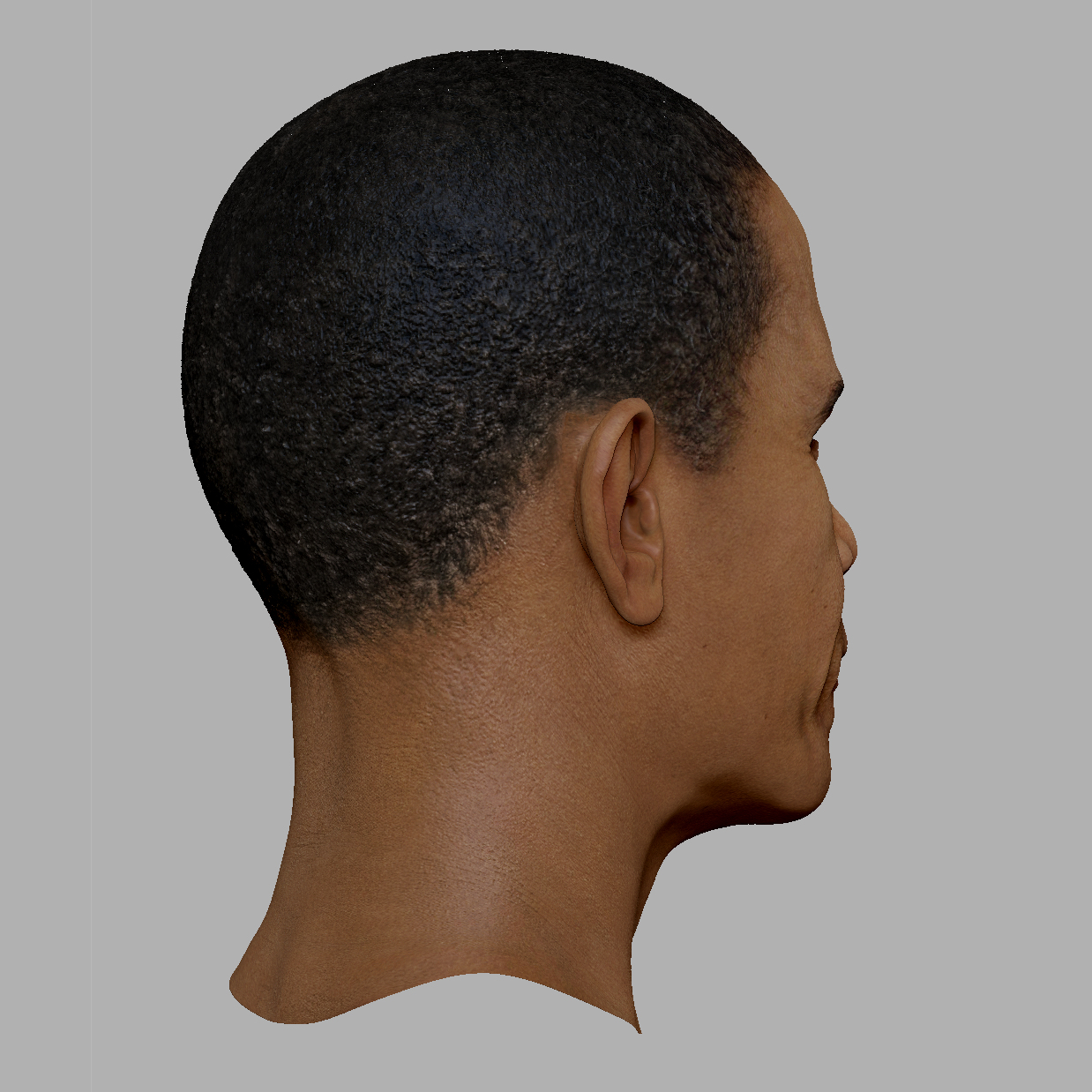 maya barack obama portrait head