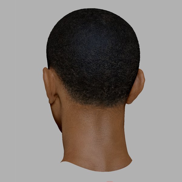 maya barack obama portrait head