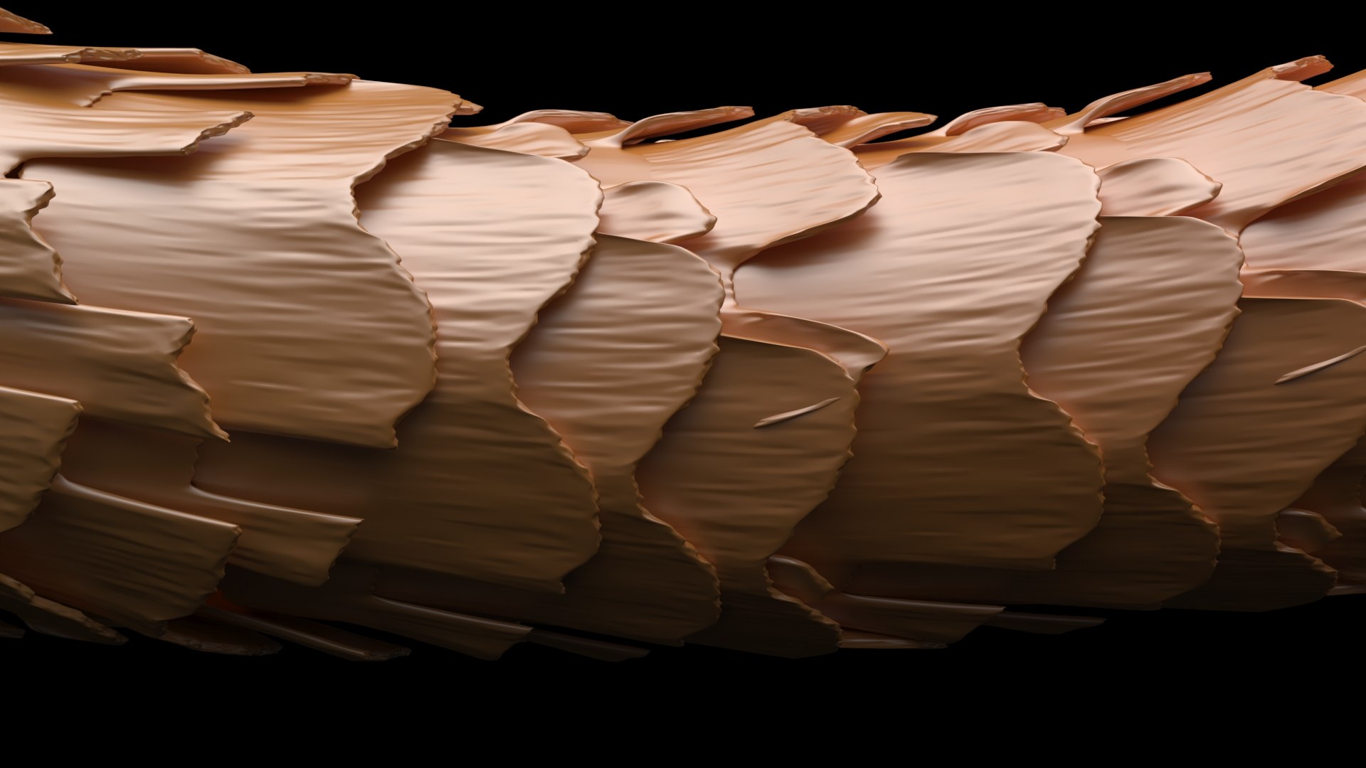 Hair Cuticles 3D Model - TurboSquid 2177792