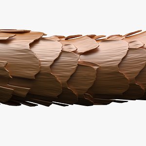 3D Cuticle Models - Browse & Download Formats - TurboSquid