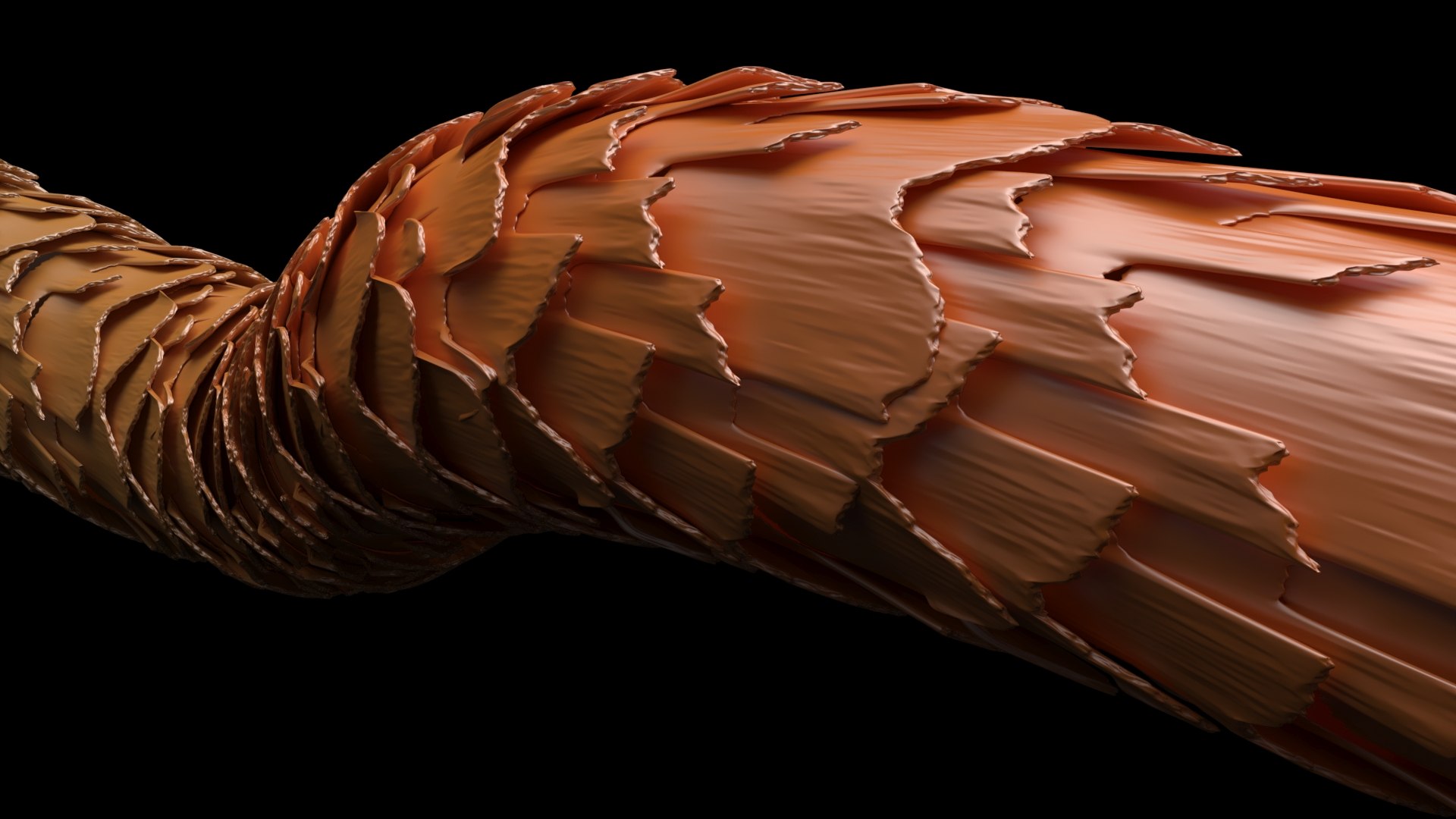 Hair Cuticles 3D Model - TurboSquid 2177792