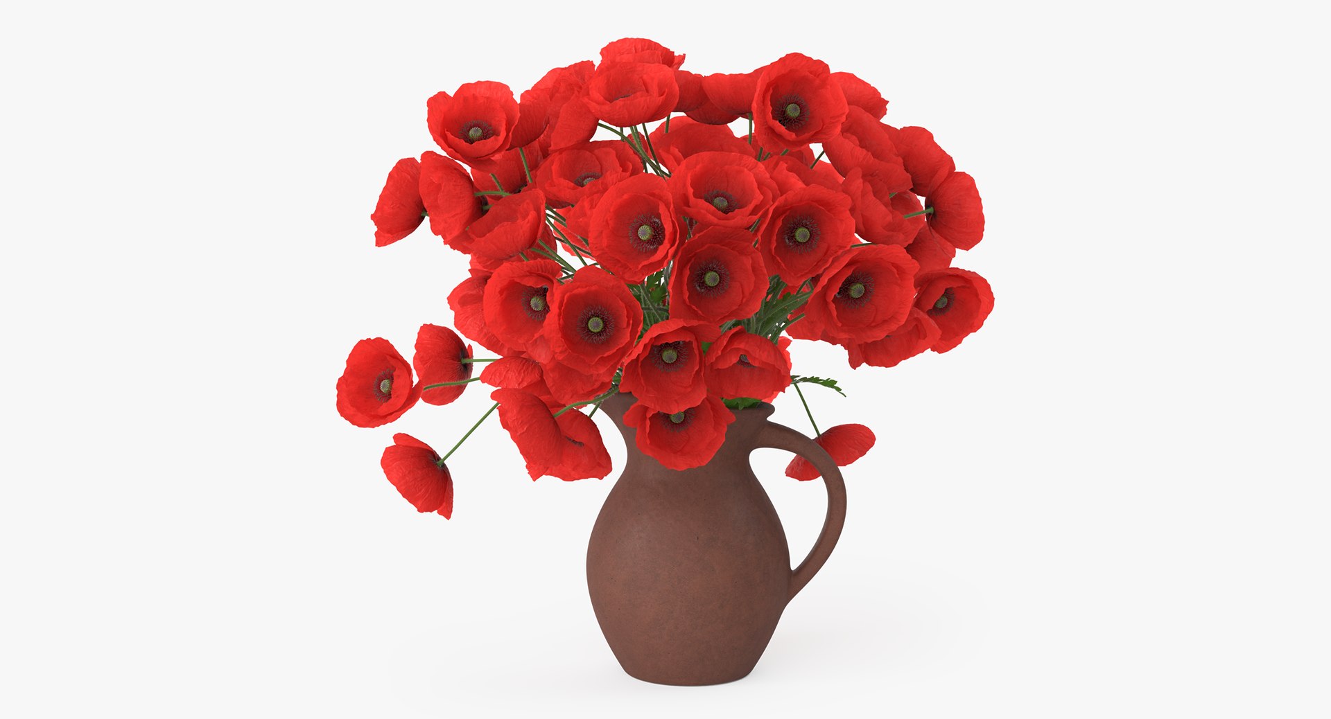 Poppy Flowers Model - TurboSquid 1833244