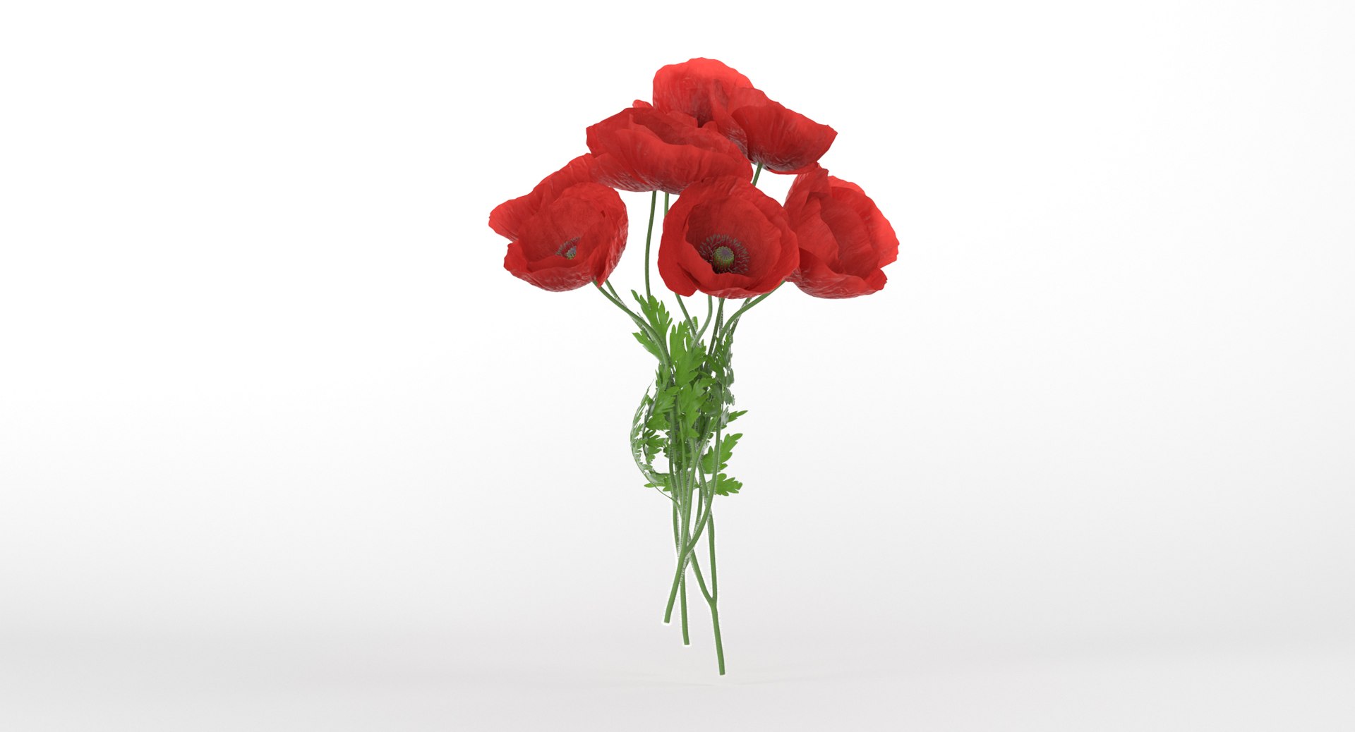 Poppy Flowers Model - TurboSquid 1833244