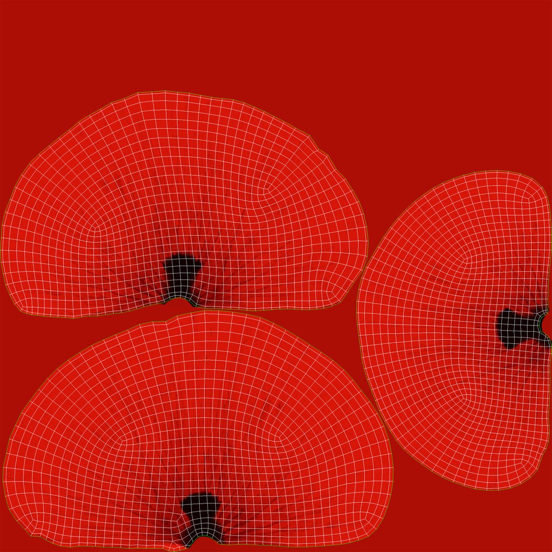 Poppy Flowers Model - TurboSquid 1833244