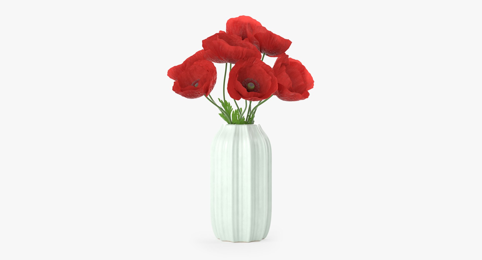 Poppy Flowers Model - TurboSquid 1833244