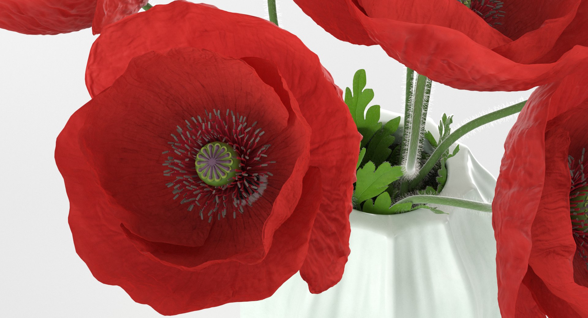 Poppy Flowers Model - TurboSquid 1833244