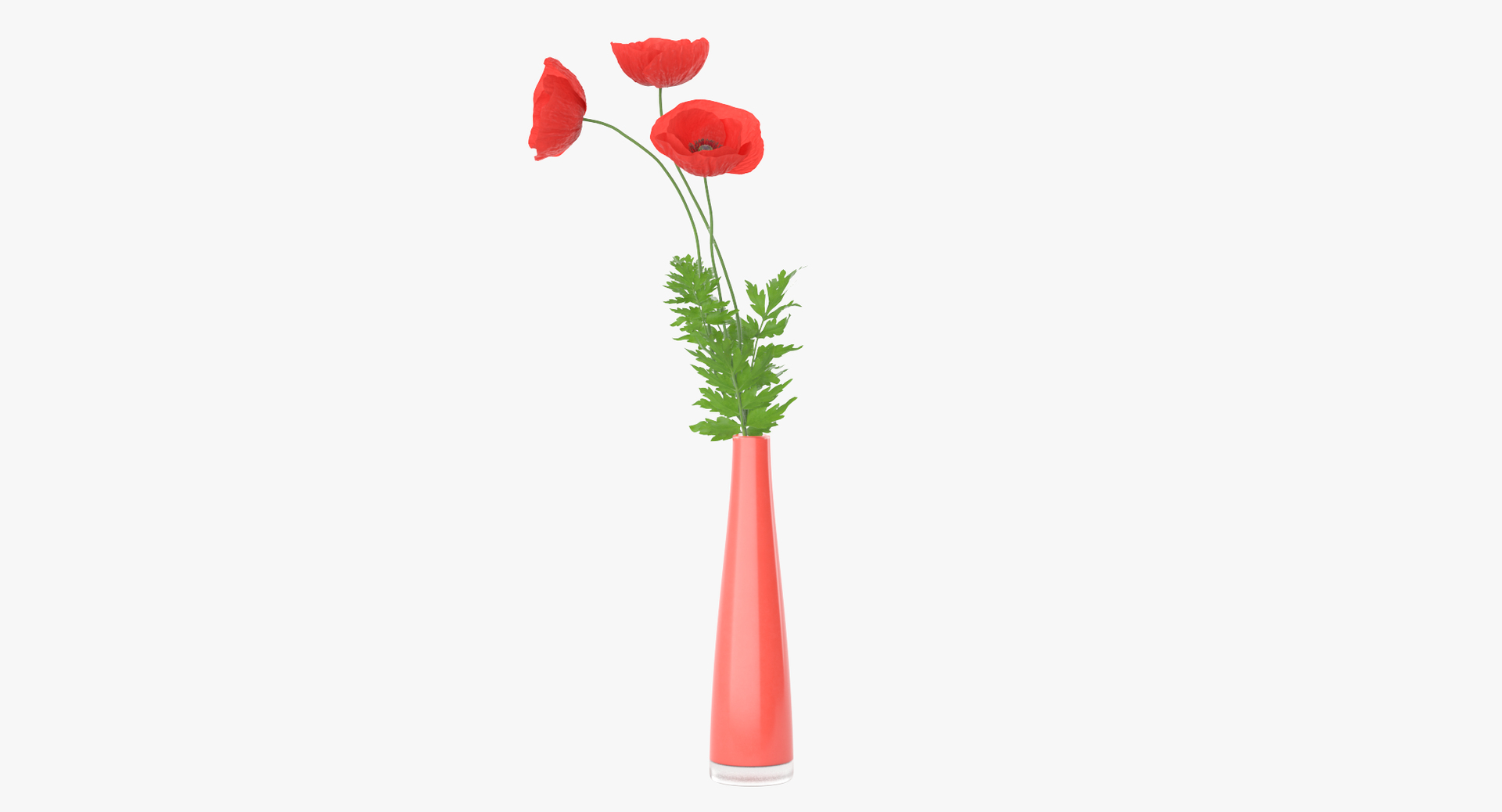 Poppy Flowers Model - TurboSquid 1833244
