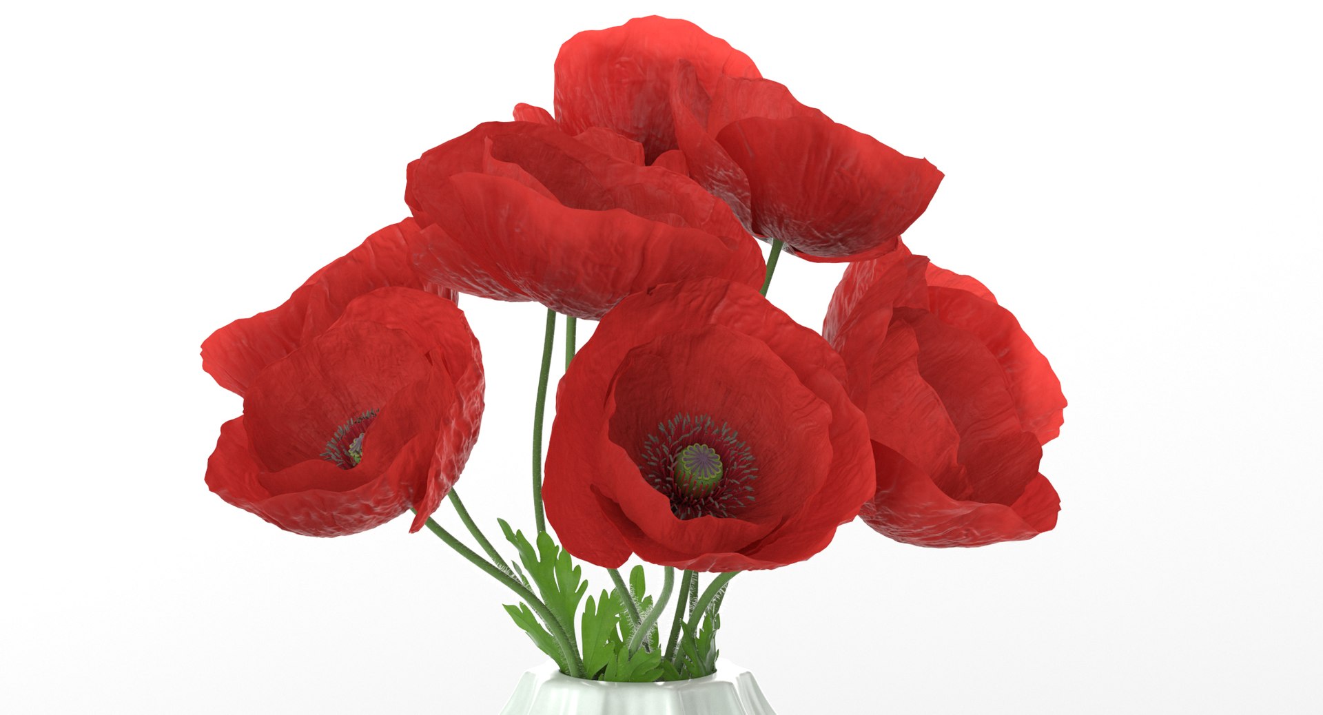 Poppy Flowers Model - TurboSquid 1833244