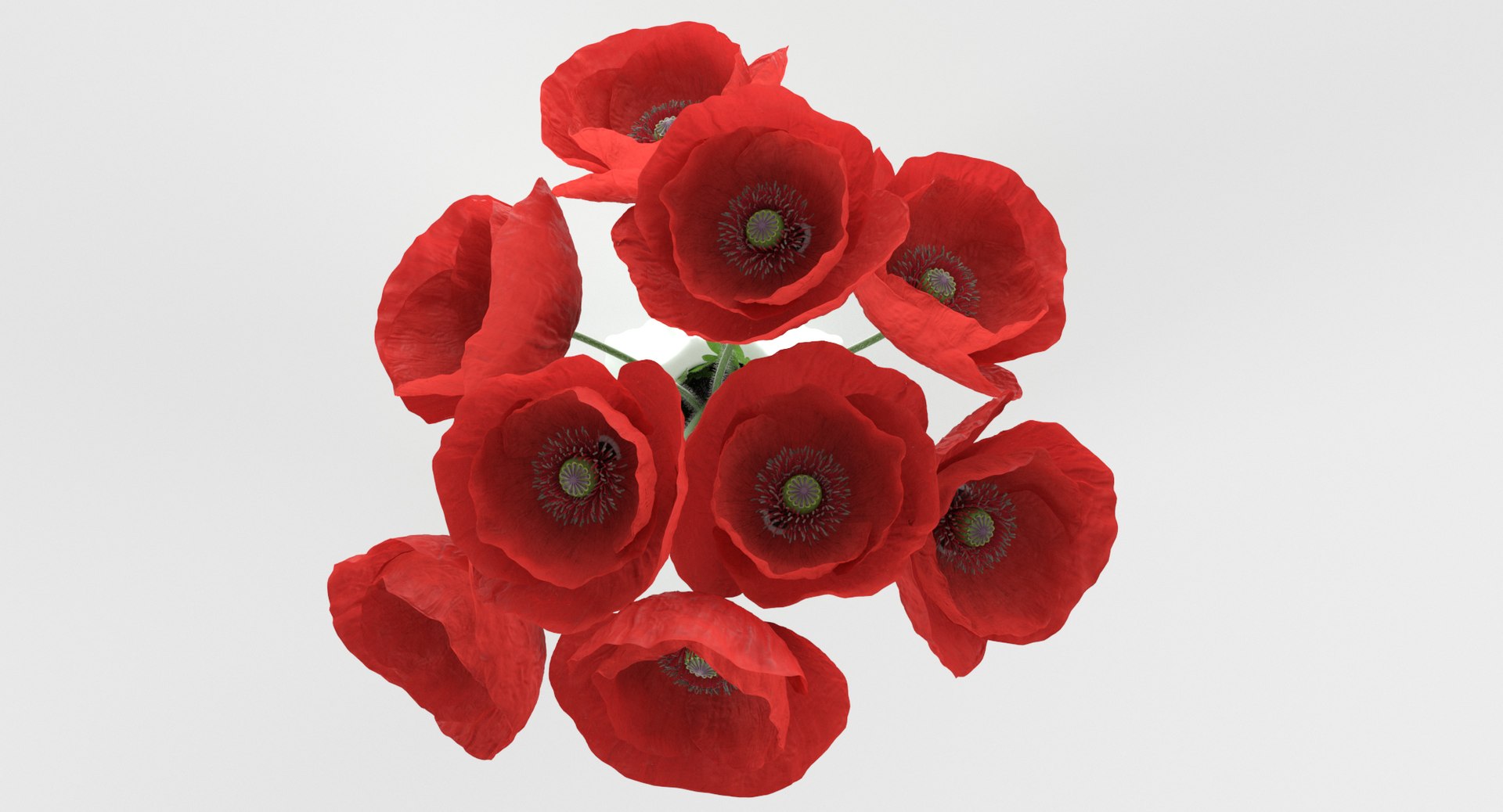 Poppy Flowers Model - TurboSquid 1833244