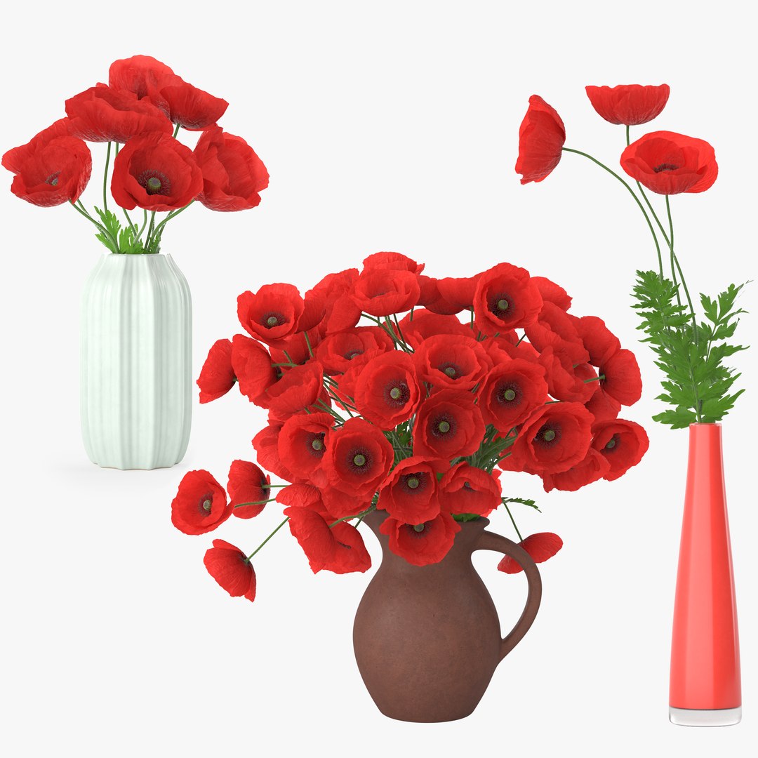 Poppy Flowers model - TurboSquid 1833244