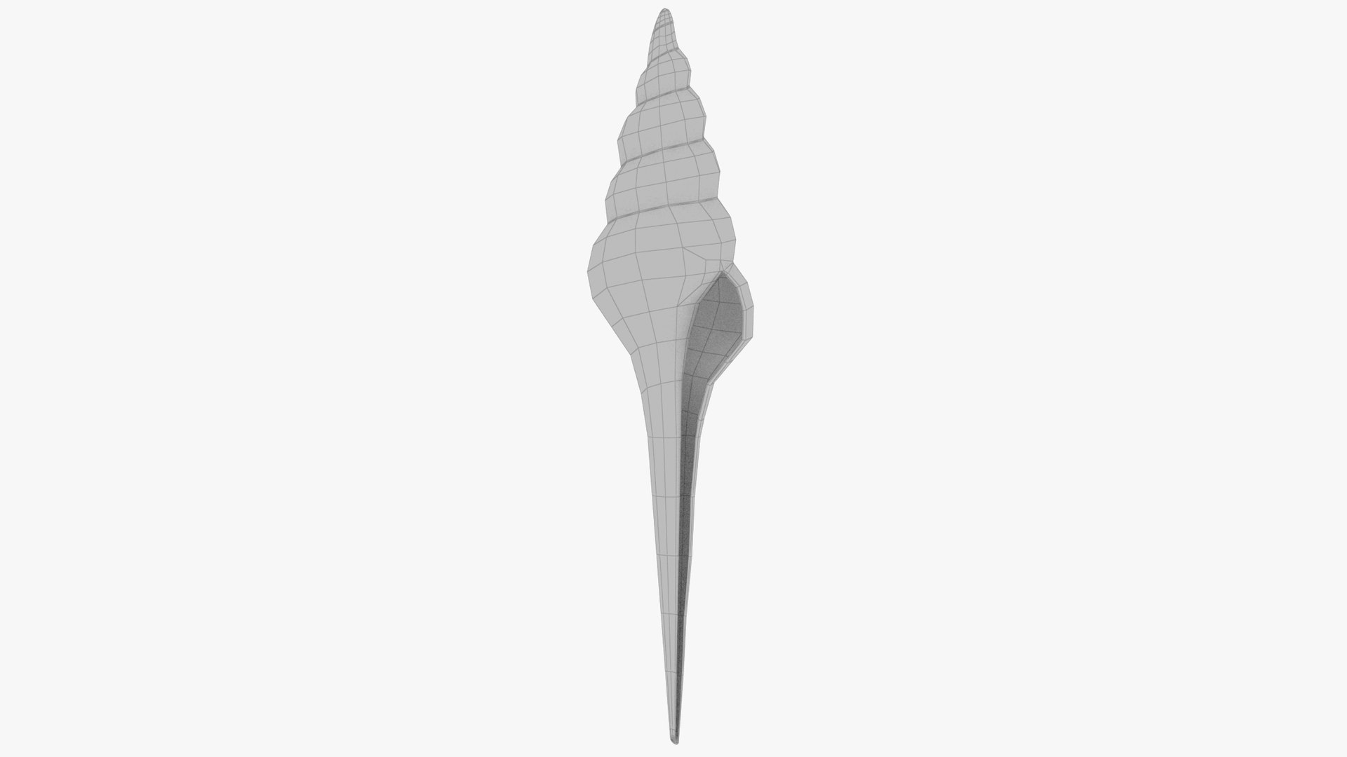 Seashell Sea Shell 3D Model - TurboSquid 1622061