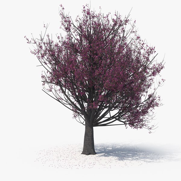 Flowering Tree 3D Models for Download | TurboSquid