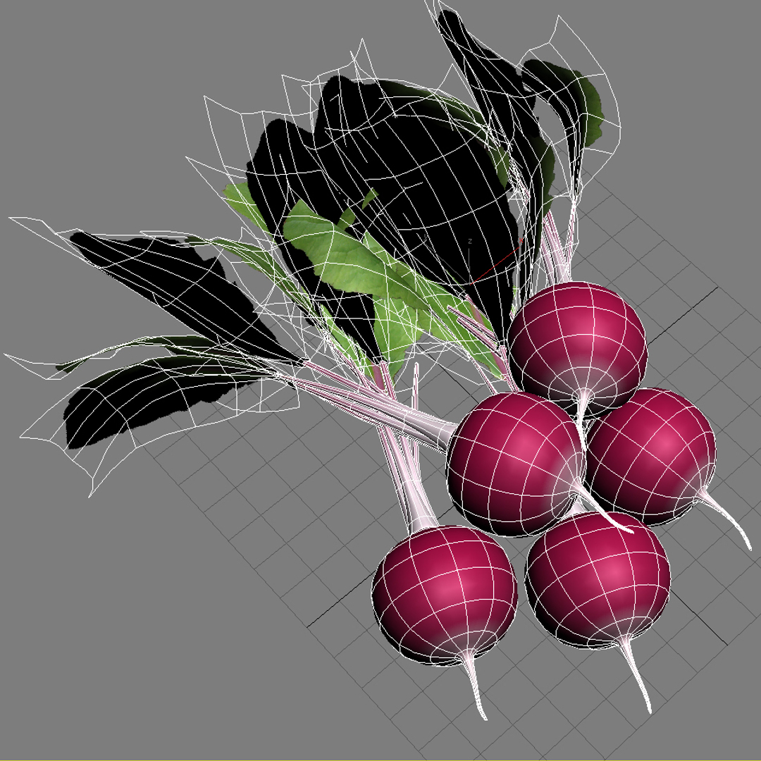 radish 3d model