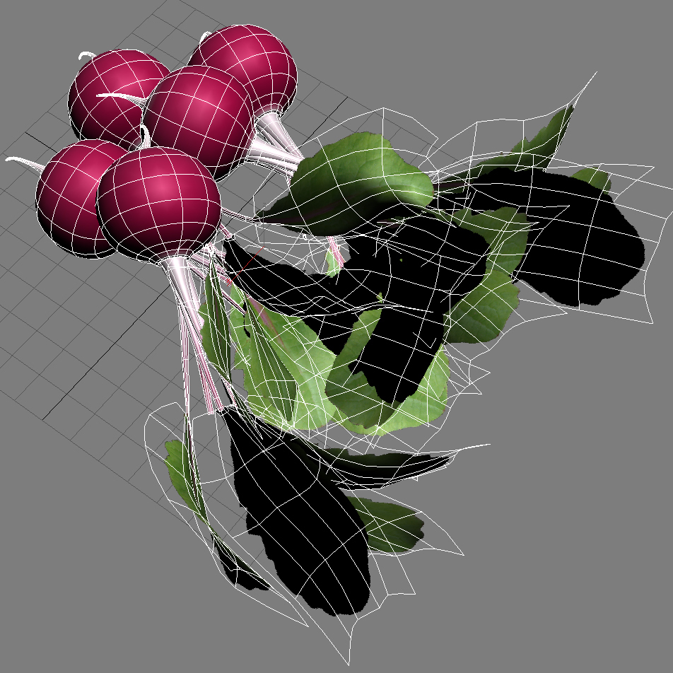 radish 3d model