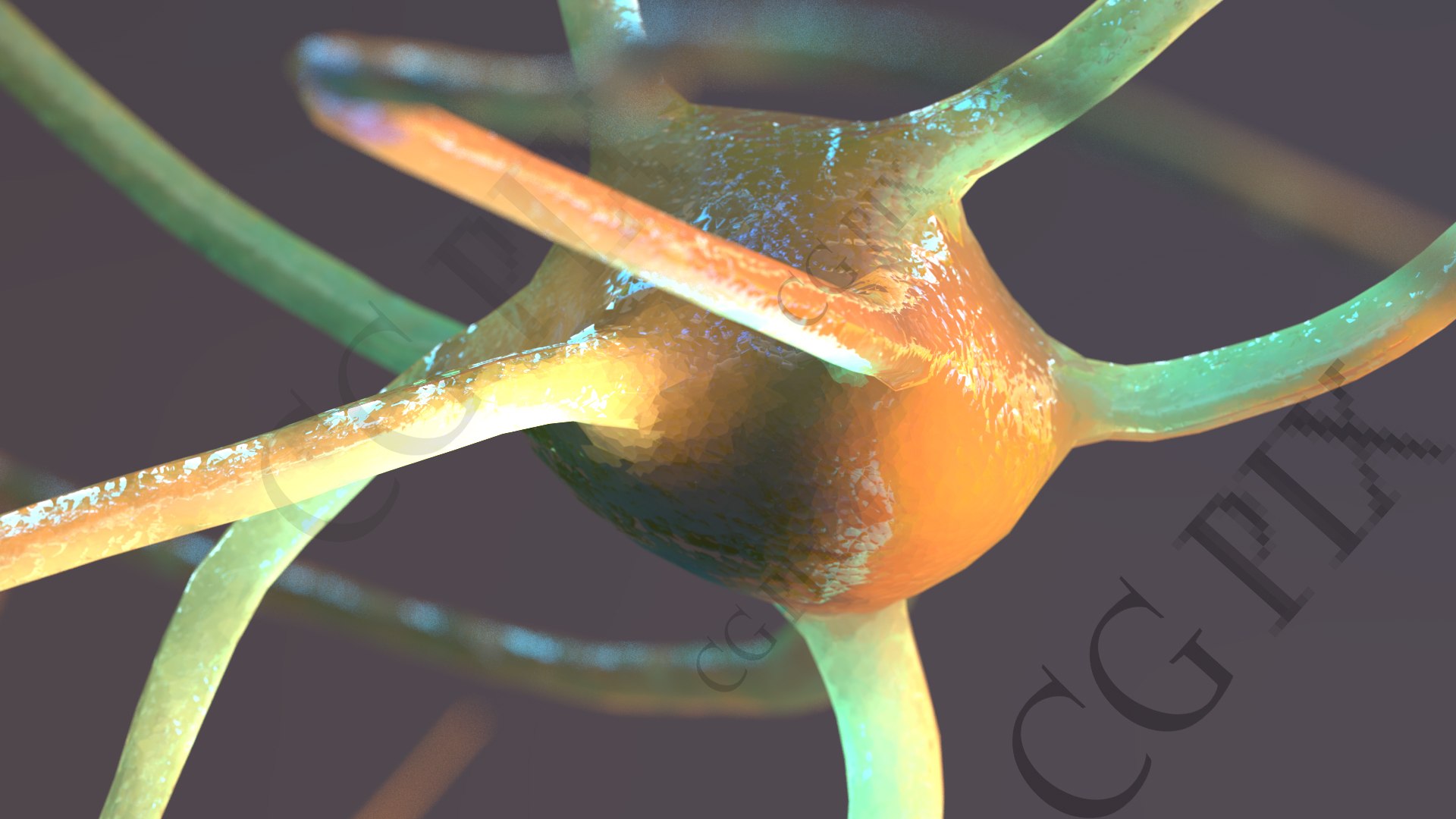 Neuron Nerve Cell 3D - TurboSquid 1383525