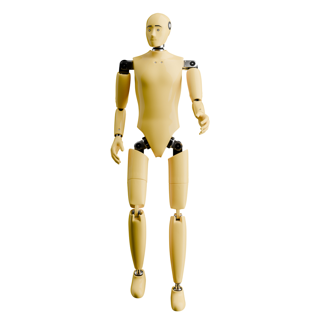 Rigged Crash Test Male Mannequin Model - TurboSquid 2197764
