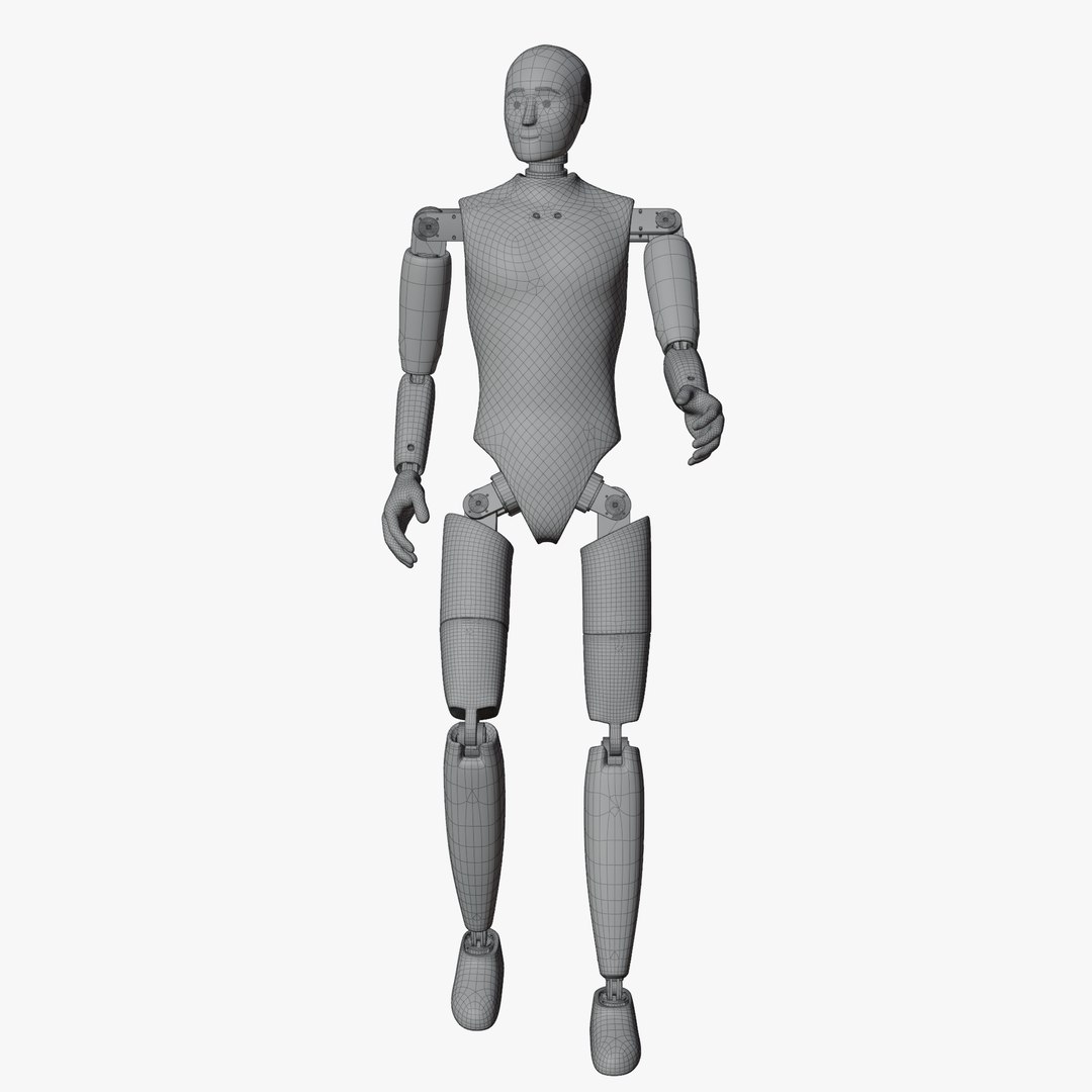 Rigged Crash Test Male Mannequin Model - TurboSquid 2197764