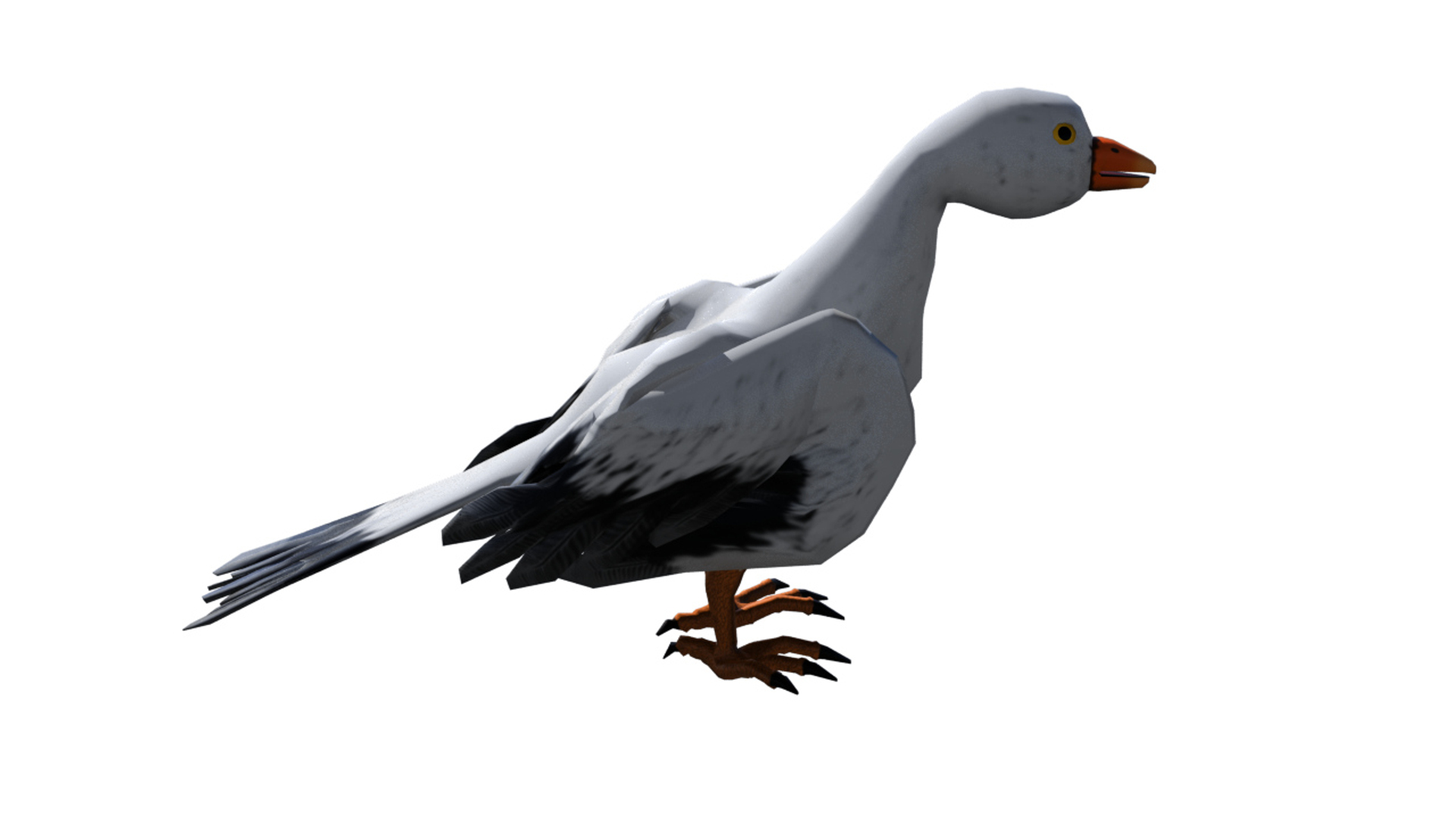 bird animation max