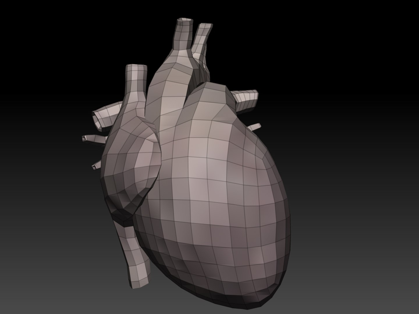 Human Heart 3d Obj