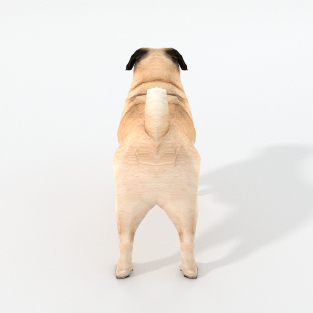 Pug 3D model - TurboSquid 1346804