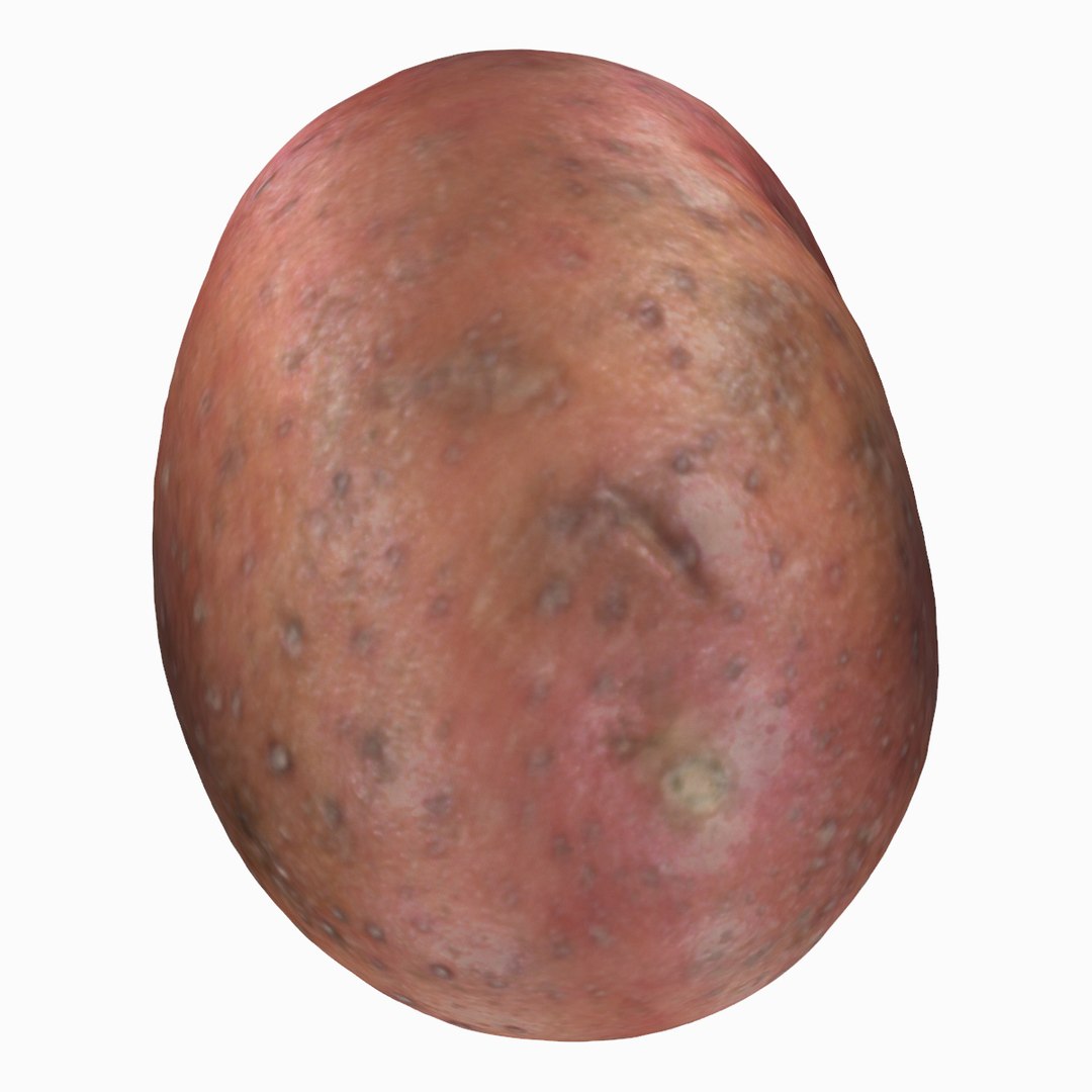 Red Potato 3D Model - TurboSquid 1469803