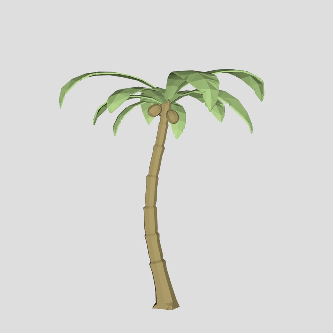 3D coconut tree model - TurboSquid 1335802