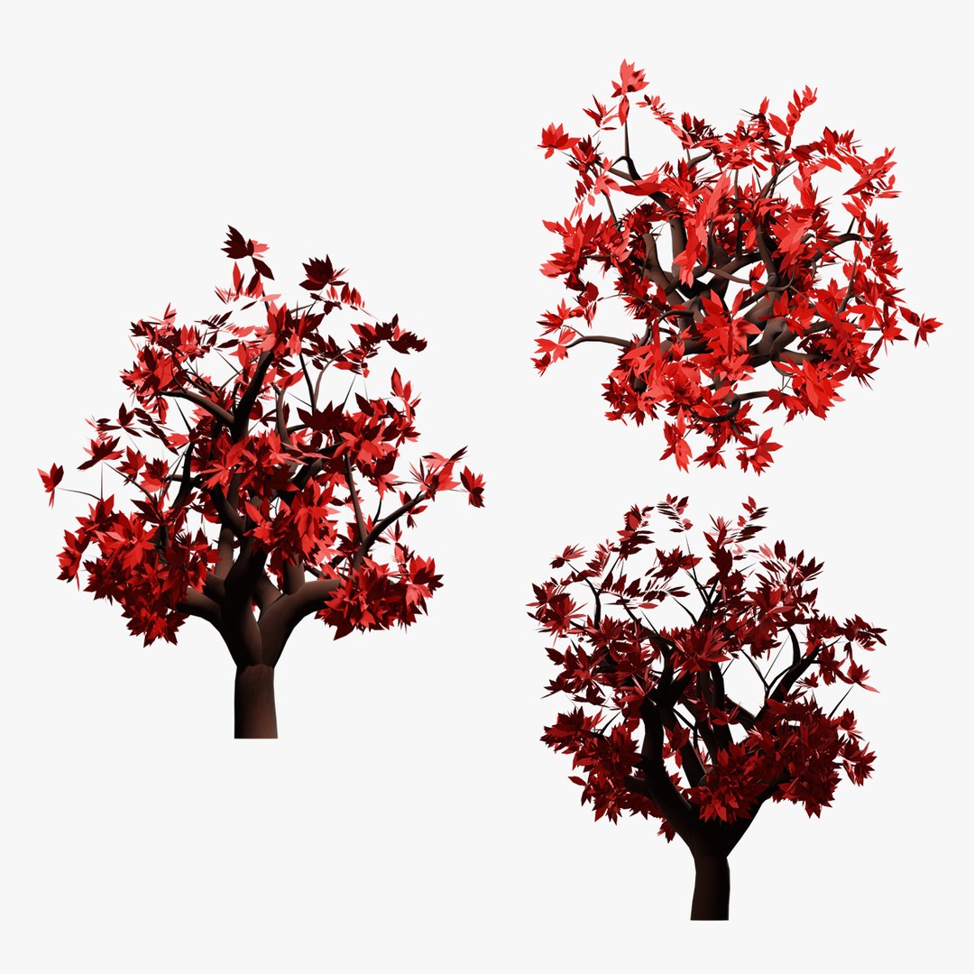Red Mapple Tree 3D model - TurboSquid 2072798