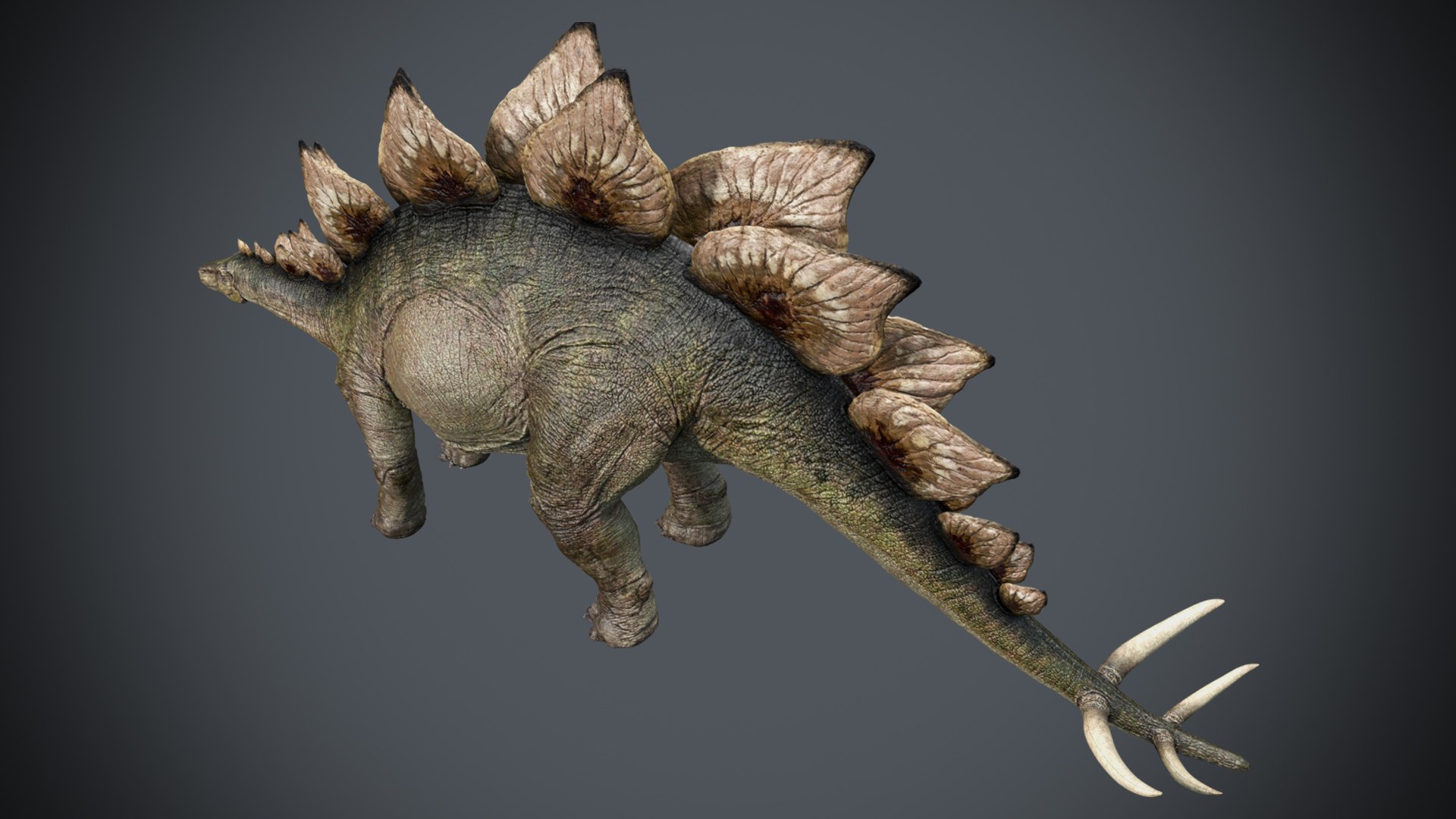 3D Model Stegosaurus Animation Rigging - TurboSquid 1305800