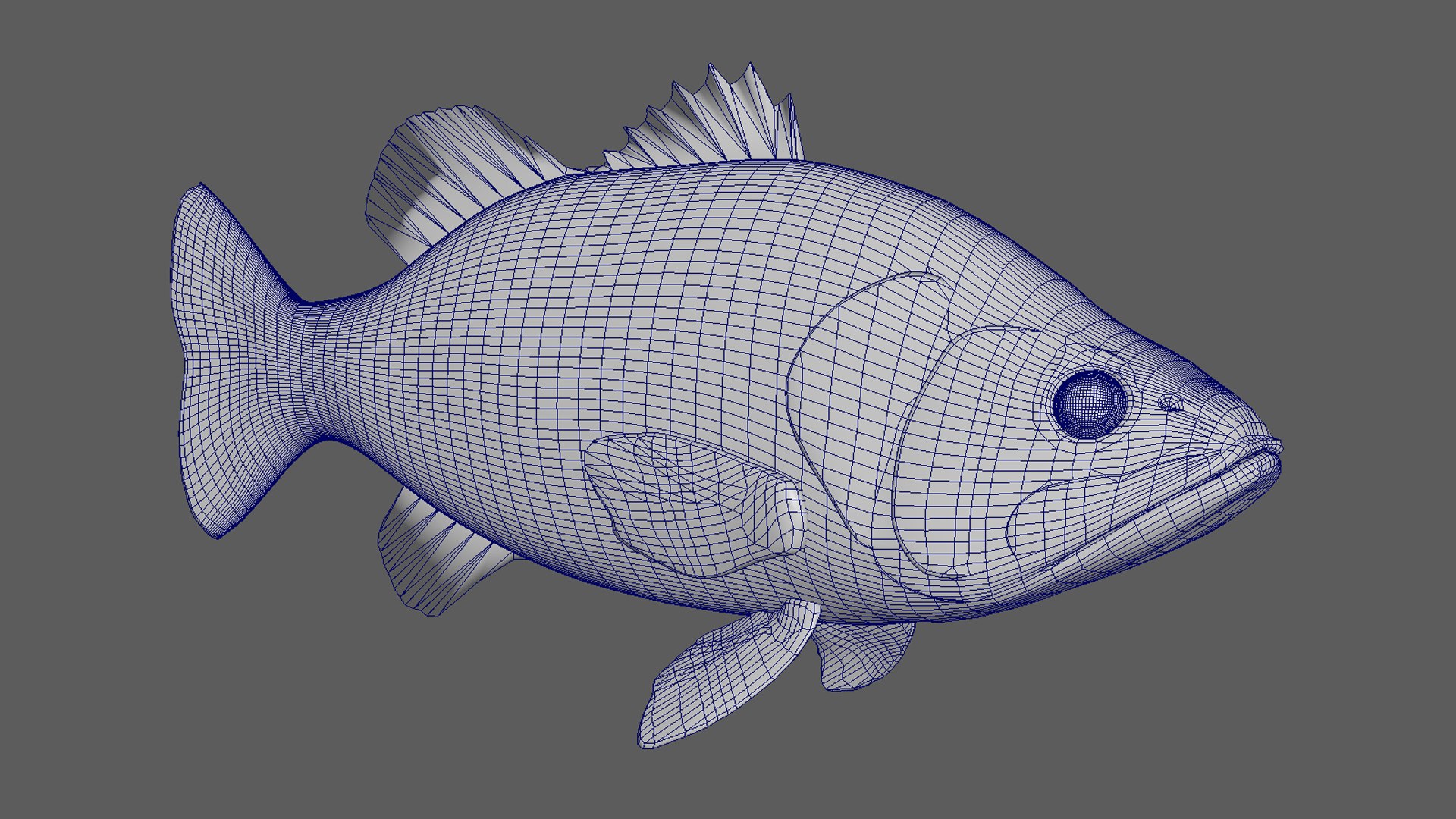 Bass Fish 3D Model - TurboSquid 2322812