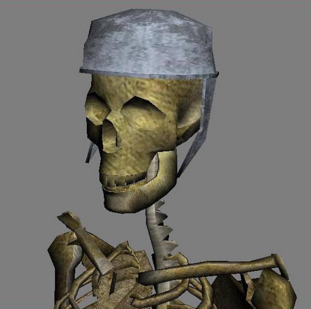 3d Model Of Bone Warrior Skeleton