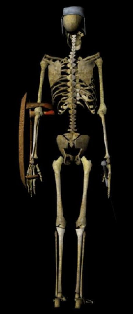 3d Model Of Bone Warrior Skeleton