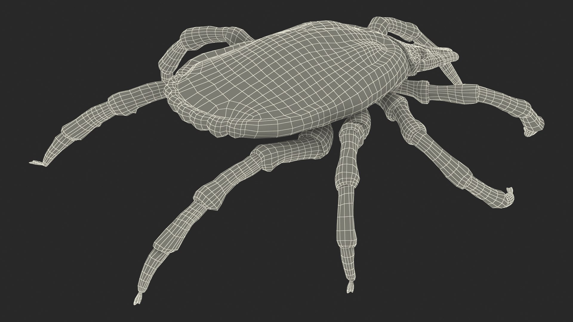 Tick Fur 3D Model - TurboSquid 1853462