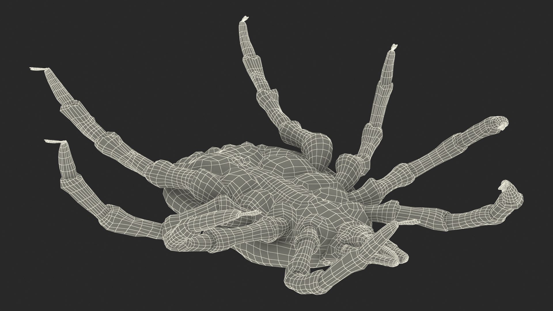 Tick Fur 3D Model - TurboSquid 1853462