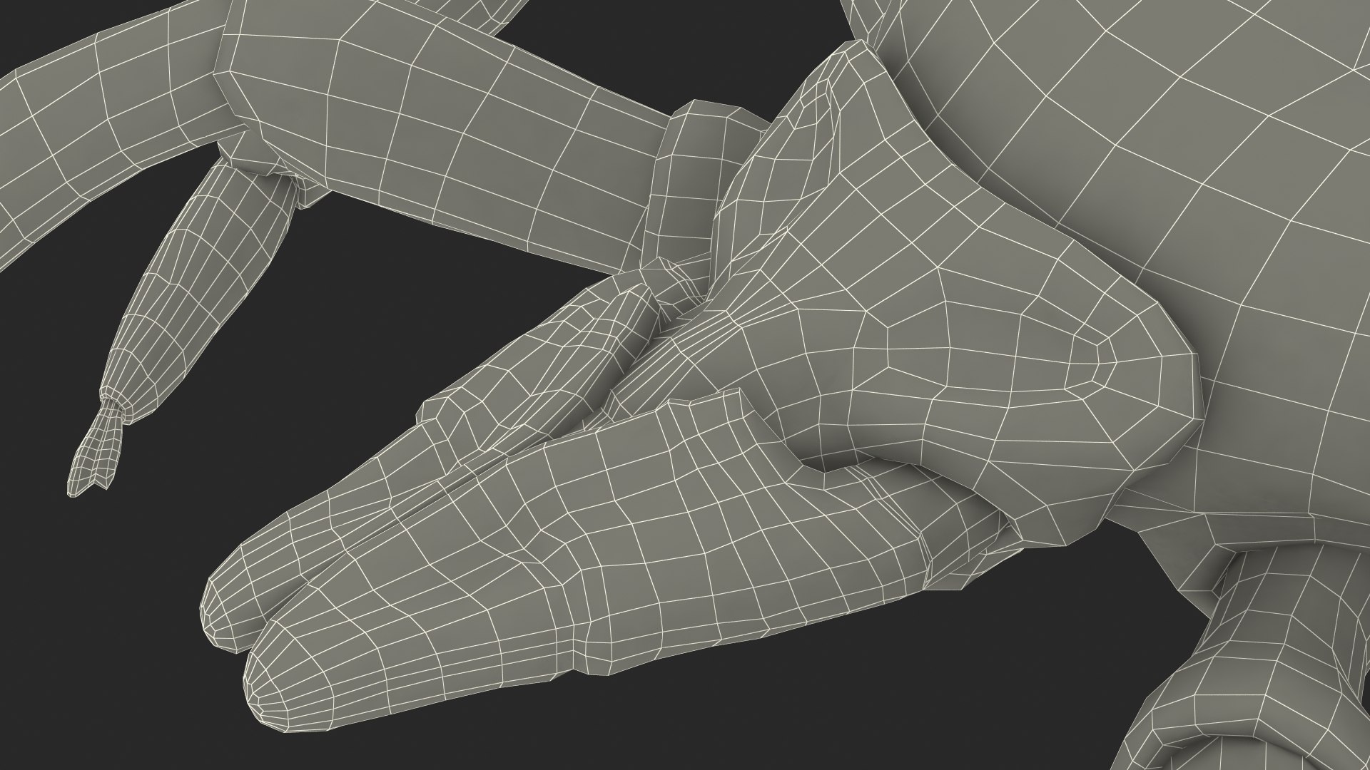 Tick Fur 3D Model - TurboSquid 1853462