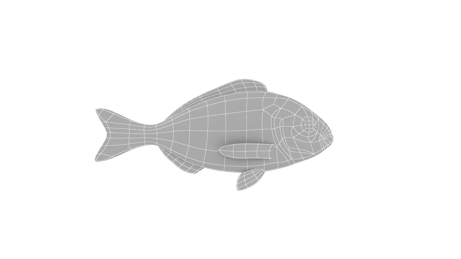 Fish Collection 3D Model - TurboSquid 2283436