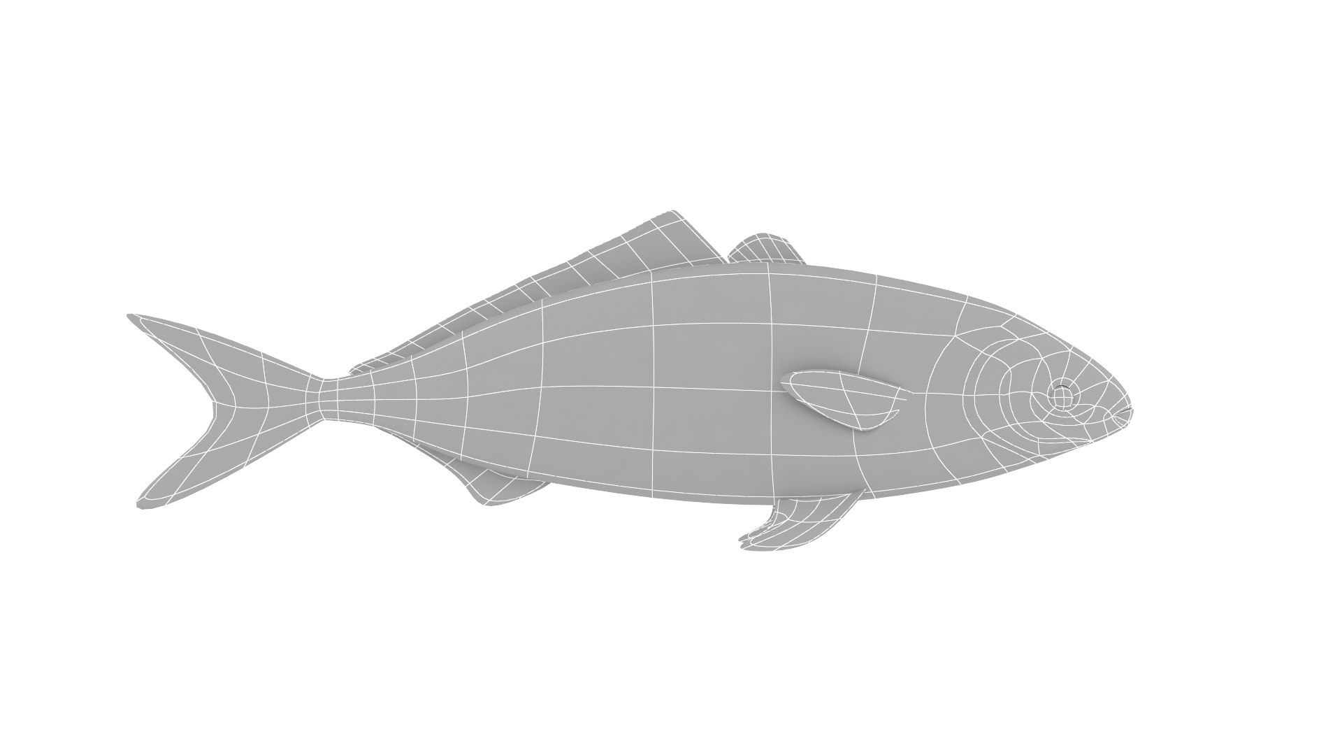 Fish Collection 3D Model - TurboSquid 2283436