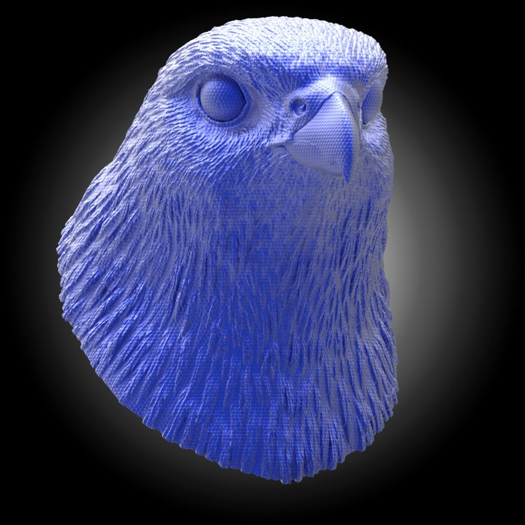 3D Falcon - TurboSquid 1194526