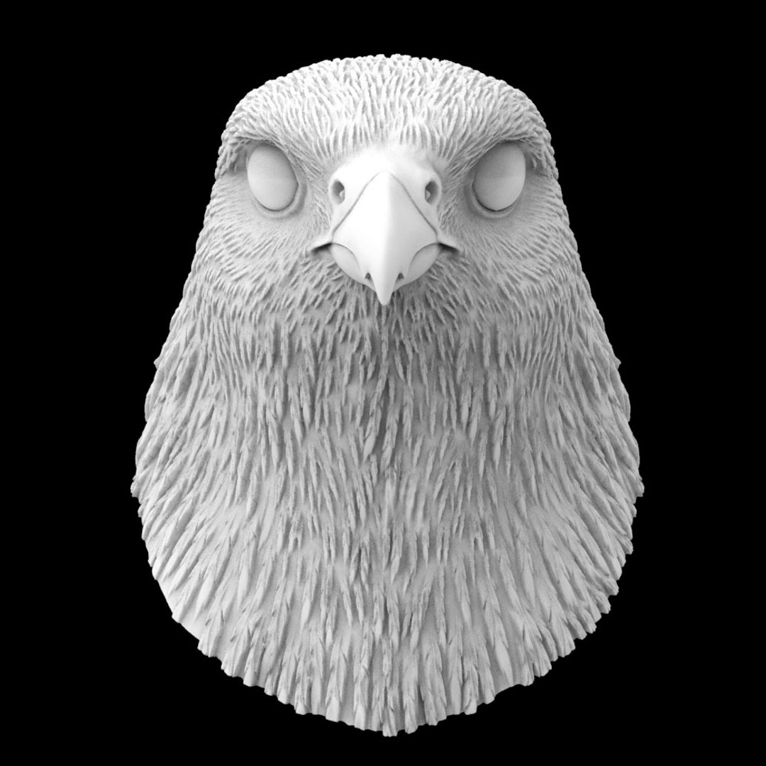 3D Falcon - TurboSquid 1194526