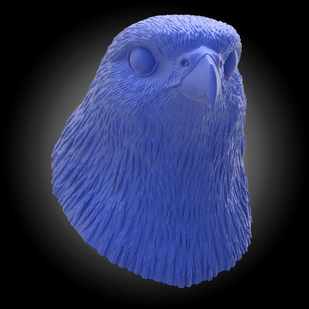 3D Falcon - TurboSquid 1194526